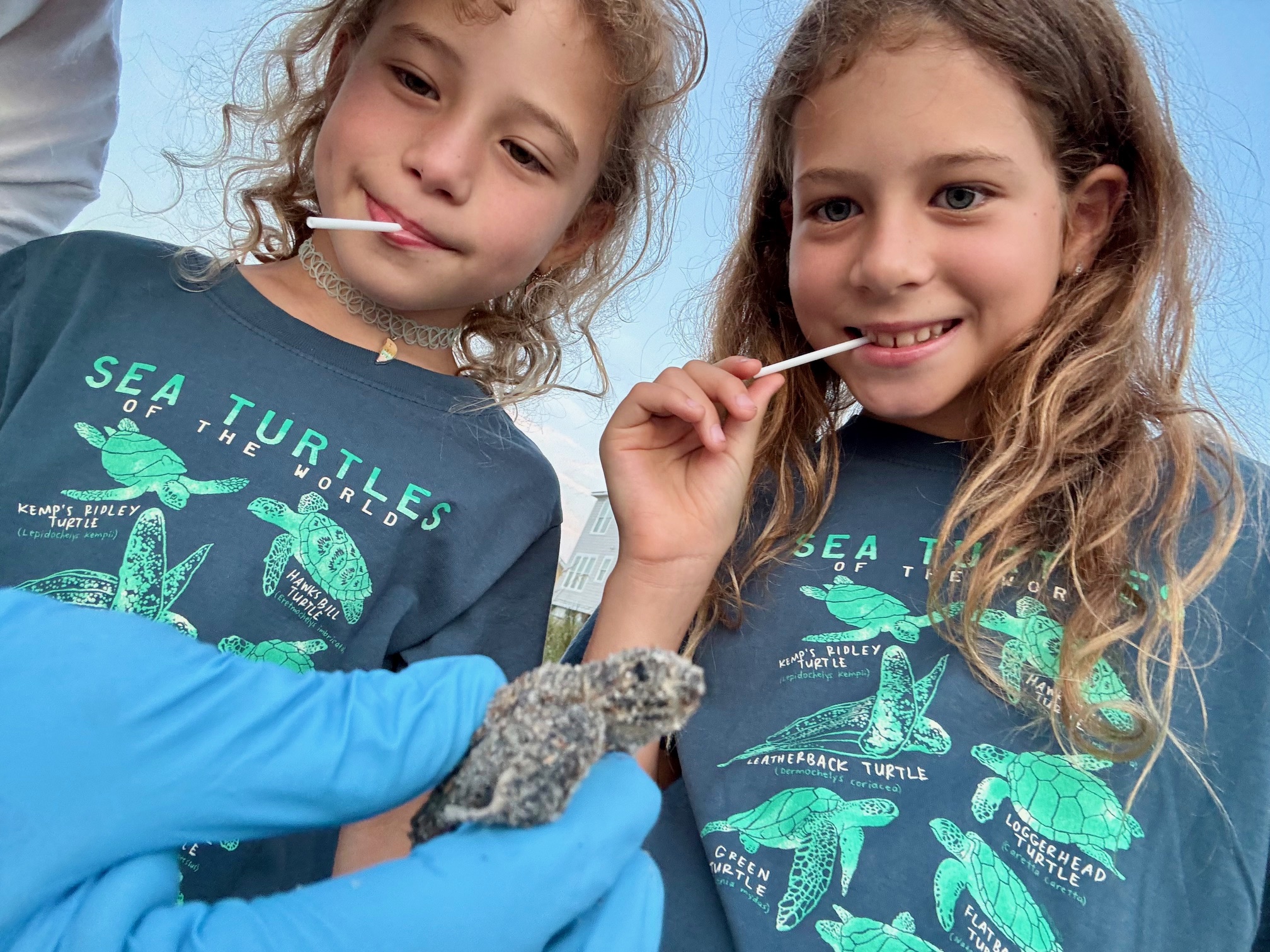 Jr Turtle Patrol – Edisto Beach Sea Turtles